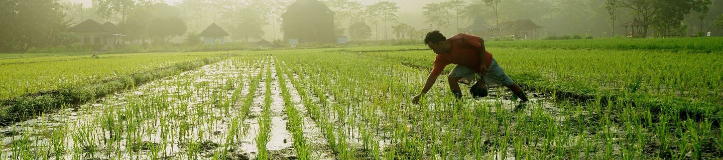 About | FMC Ag Pakistan